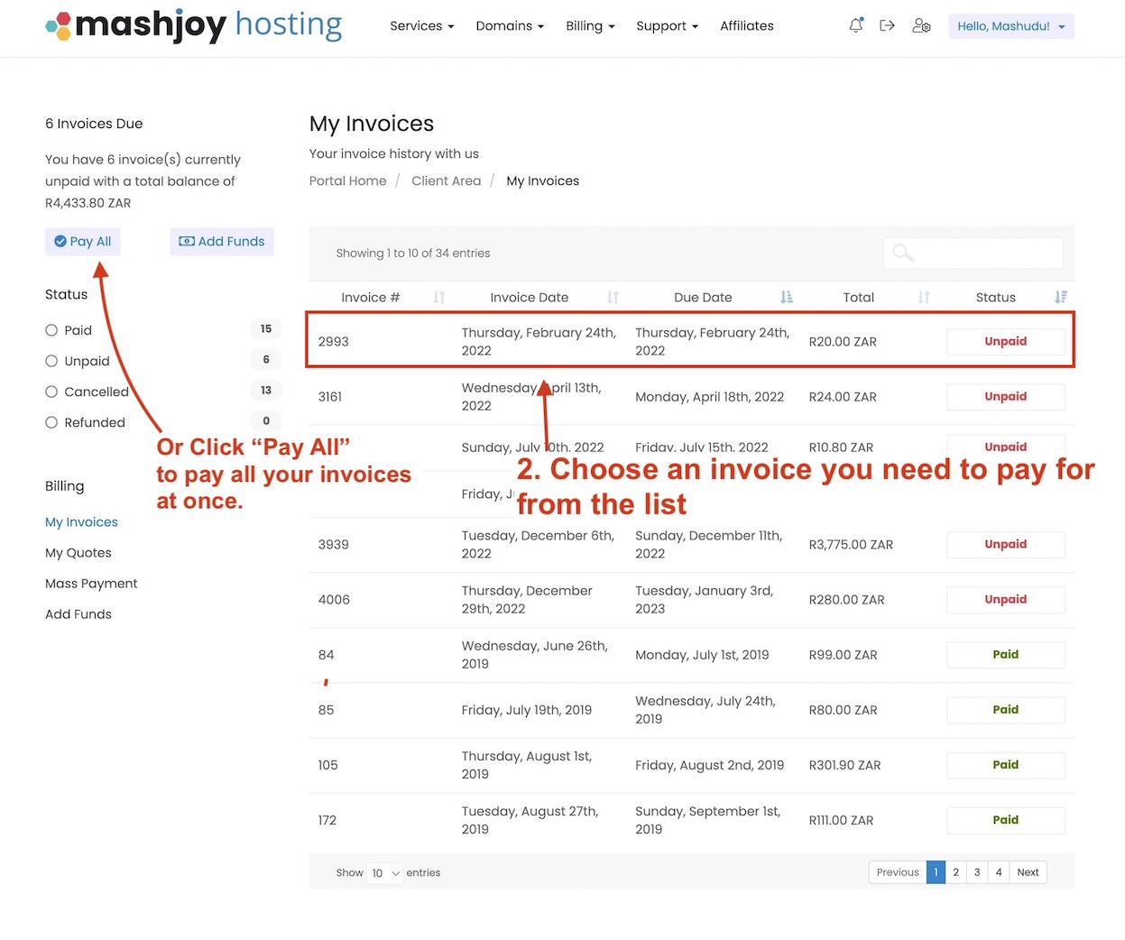How to Pay Invoices Online on Mashjoy Hosting Platform